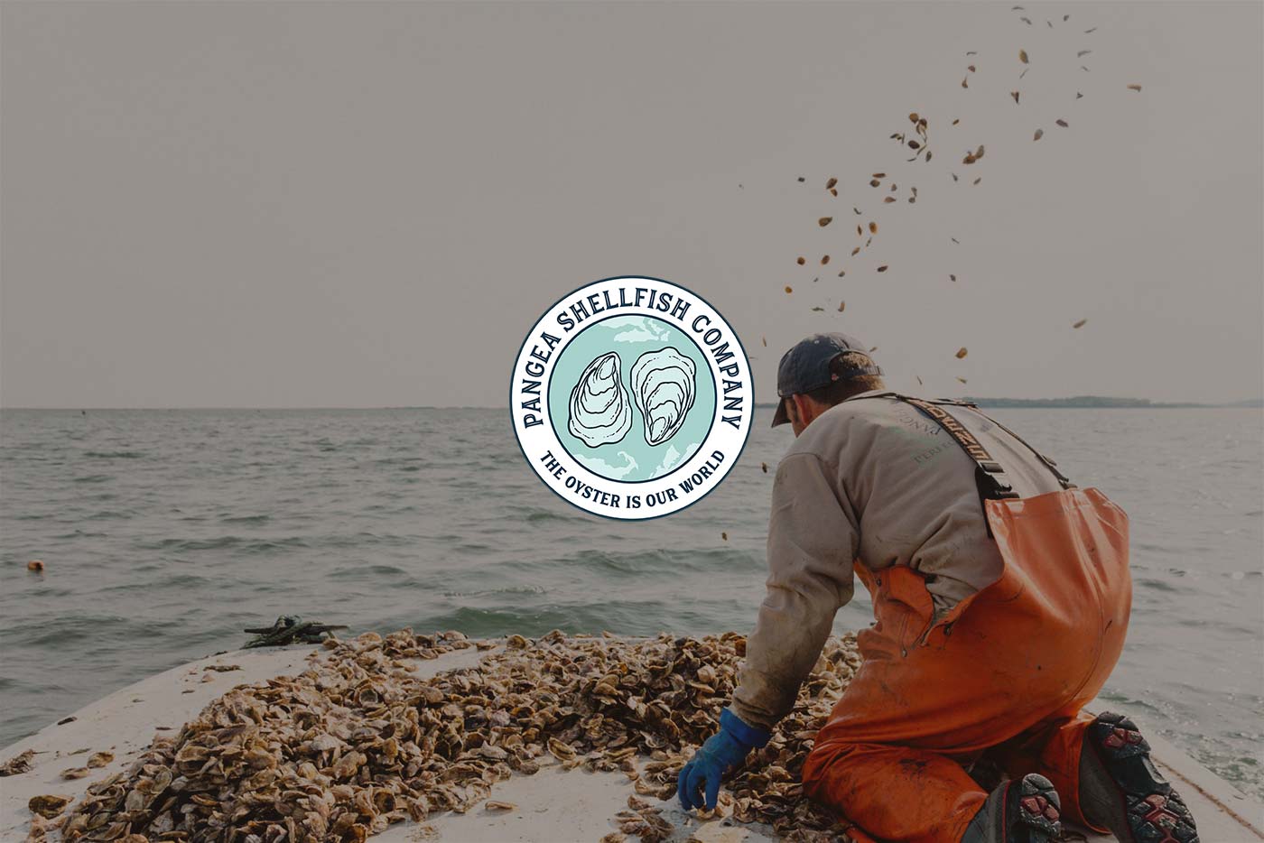 Pangea Shellfish Company | Oyster and Shellfish Wholesale